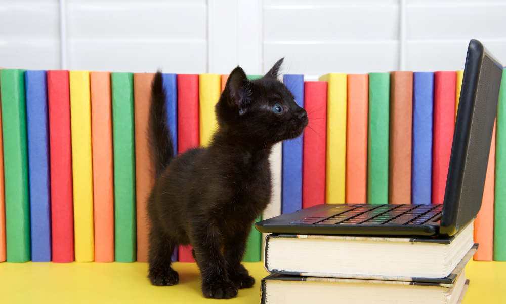 Самые интересные колонки 2022 года